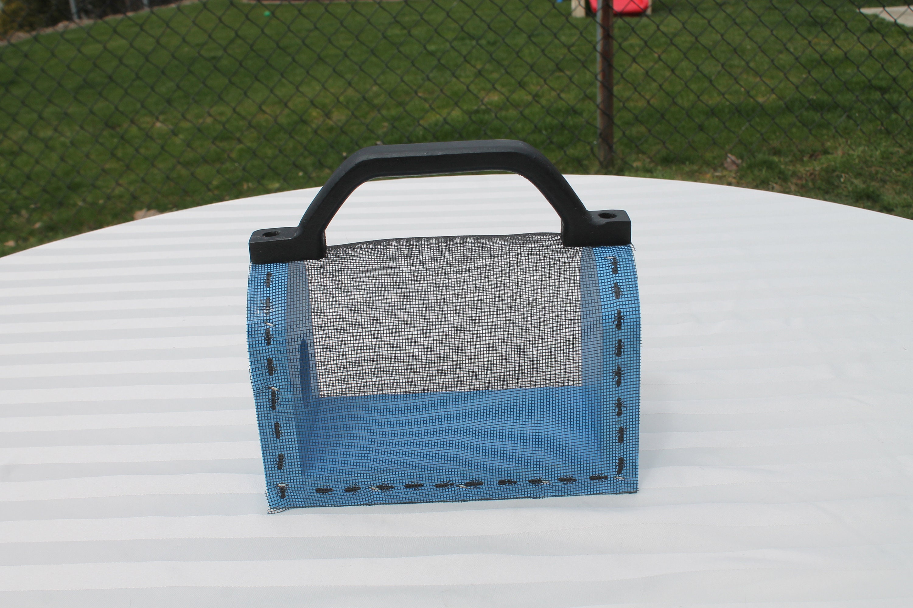 Blue Hand Painted Wooden Bug Box With Ants Bug Cage Bug - Etsy