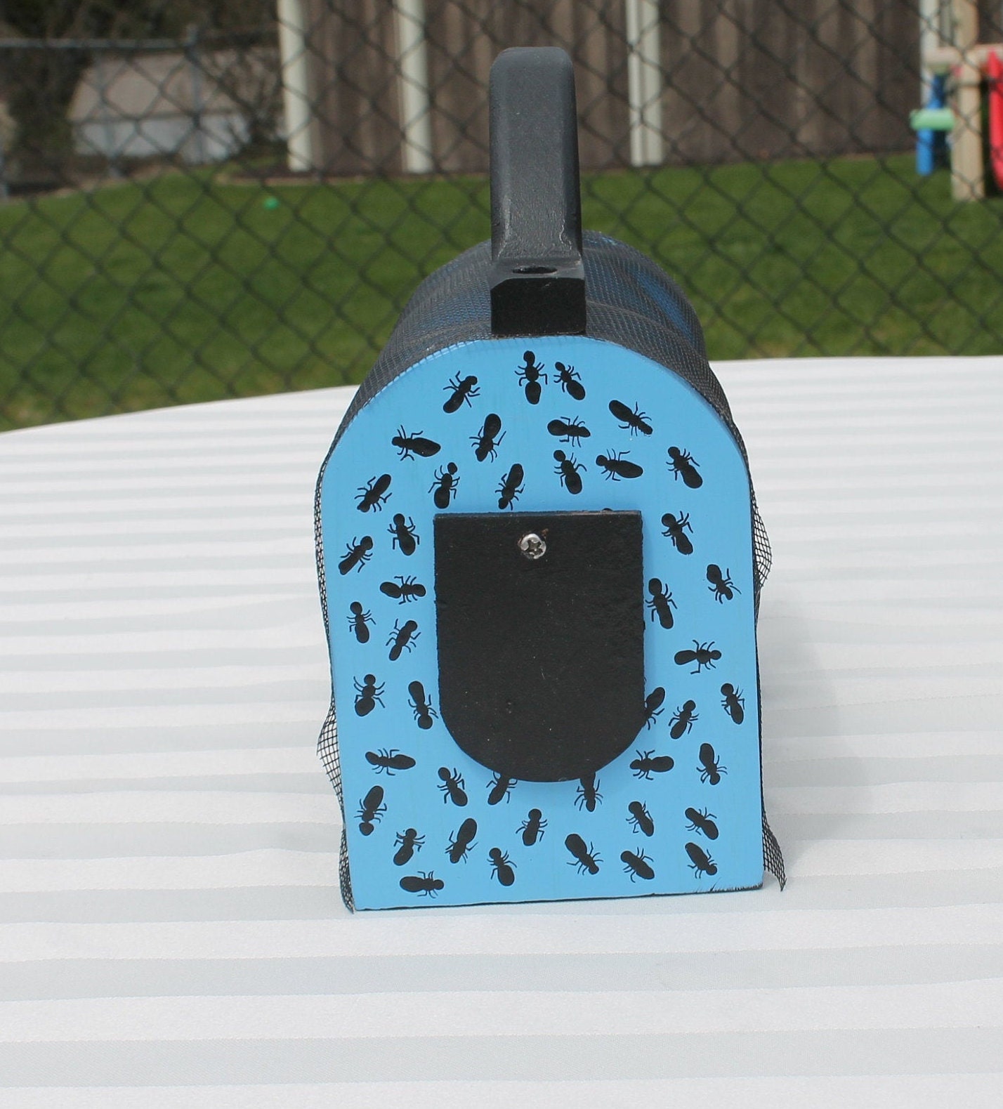 Blue Hand Painted Wooden Bug Box With Ants Bug Cage Bug - Etsy