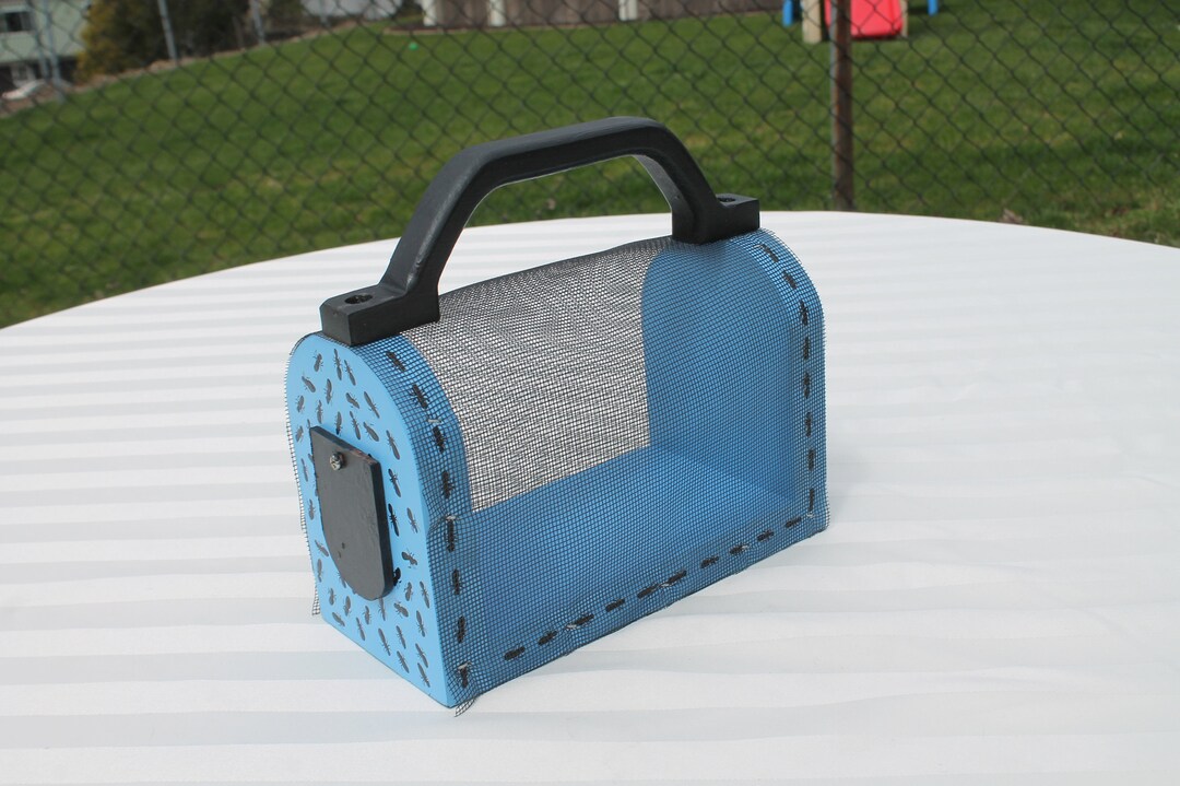 Blue Hand Painted Wooden Bug Box With Ants, Bug Cage, Bug Home, Critter ...