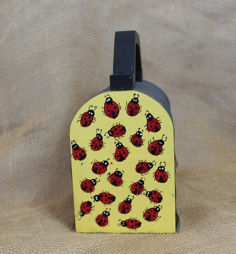 Lady Bug Hand Painted Wooden Bug Box Bug Cage Bug Home | Etsy