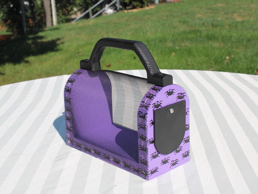 Purple / Dark Lavendar Wooden Bug Box With Hand Painted Spiders, Bug ...