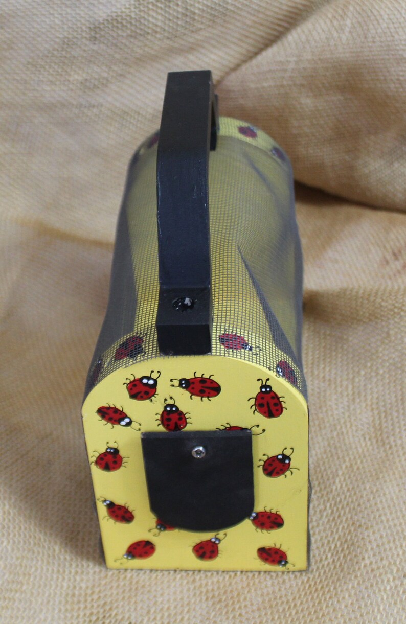 Lady Bug Hand Painted Wooden Bug Box Bug Cage Bug Home | Etsy