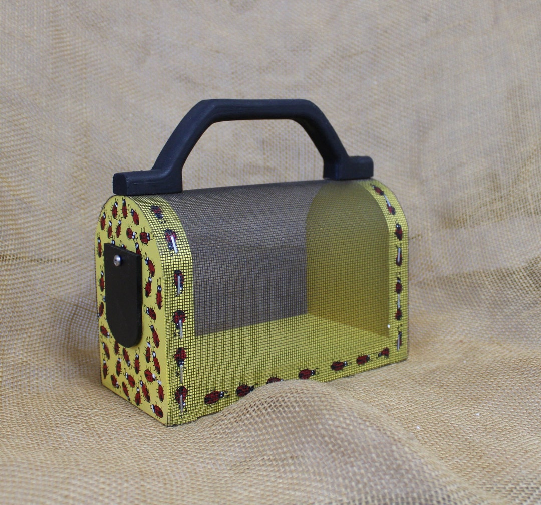 Lady Bug Hand Painted Wooden Bug Box Bug Cage Bug Home - Etsy