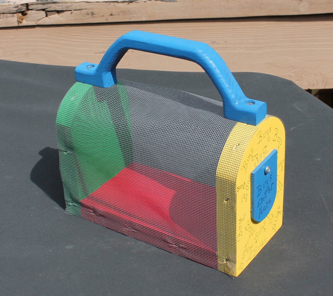Hand Painted Wooden Bug Box in Bright Colors With the Word - Etsy
