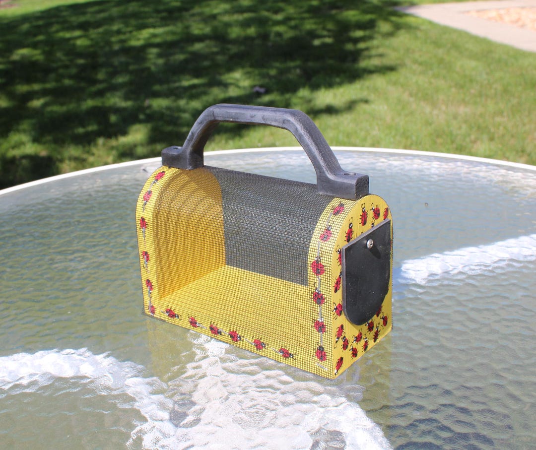 Lady Bug Hand Painted Wooden Bug Box , Bug Cage, Bug Home, Critter Box ...