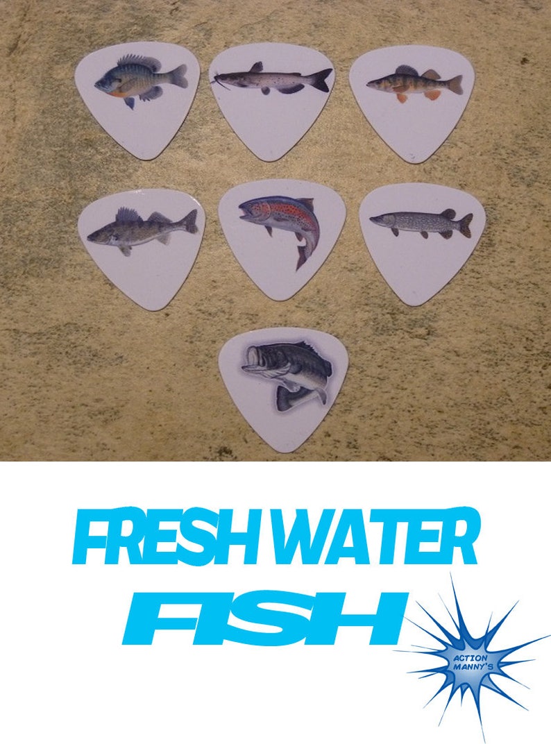 Fresh Water Fish Single Sided Picture Guitar Picks Set of 7 - Etsy
