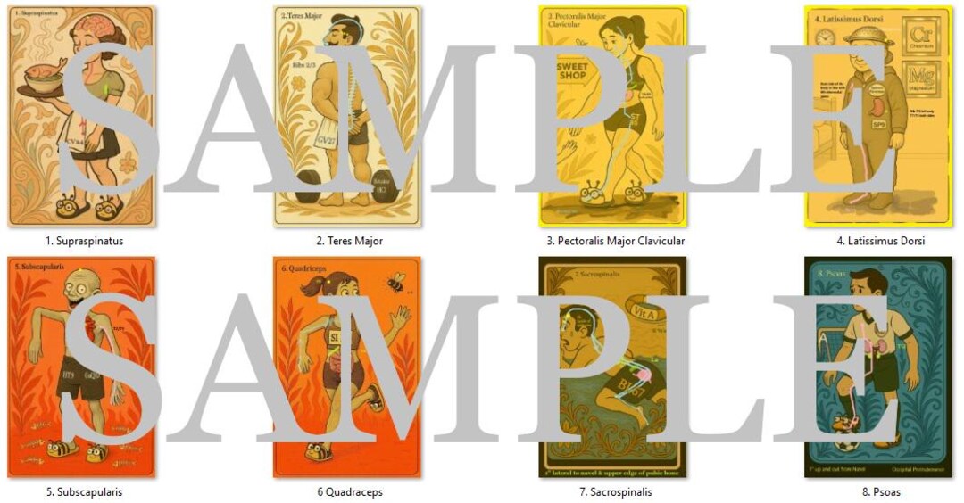 Kinesiology Training Cards - Etsy UK