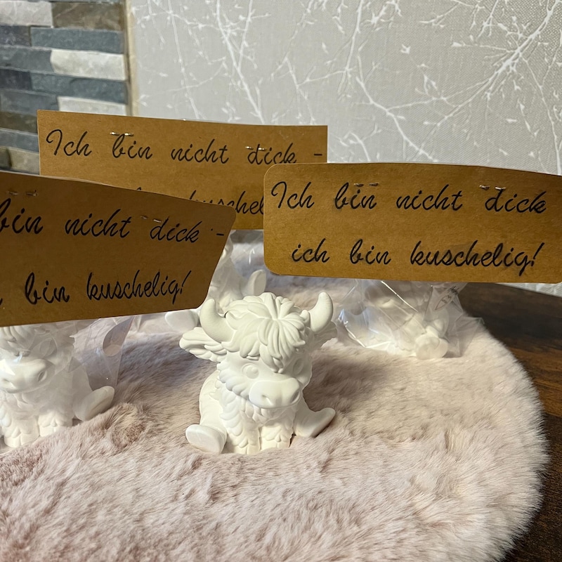 Galloway rinder geschenk - Etsy.de