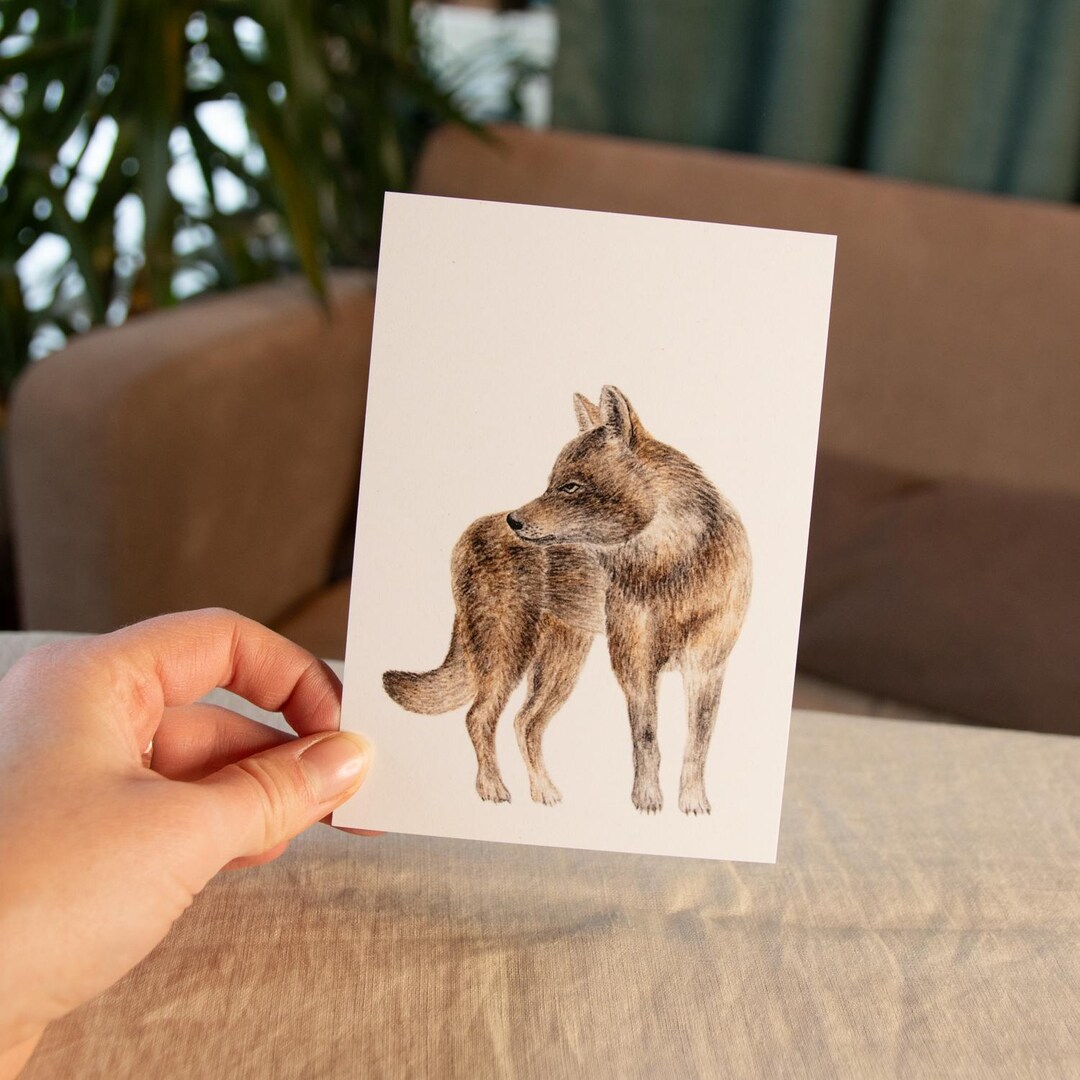Wolf Postcard // Animal Postcards // Nature Postcards // Gift for ...