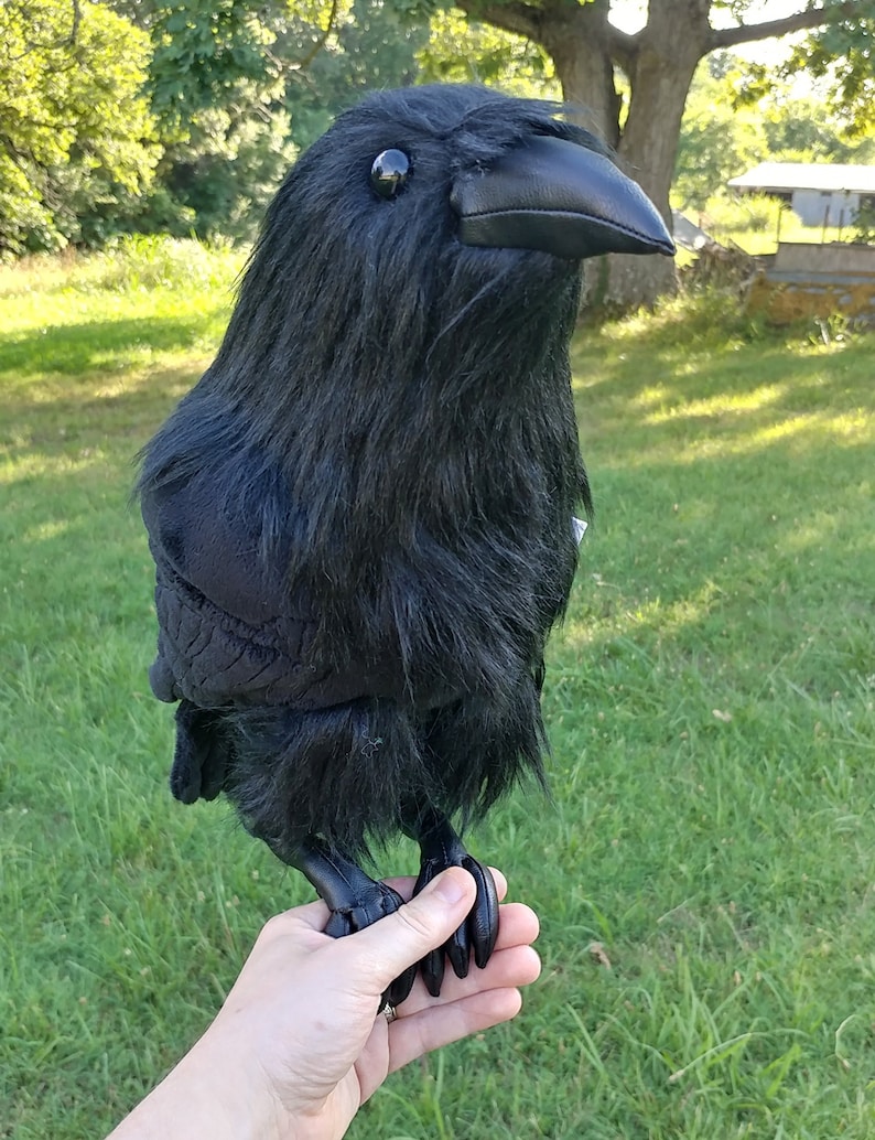 Raven Plush *MADE TO ORDER* - Etsy