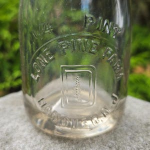Vintage 1/4 Pint Size gil Milk Bottle Lone Pine Farm Hanover N.J. Mint ...