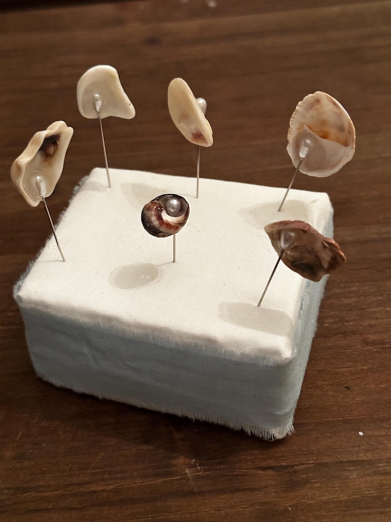 Coastal Wedding Shell Pin – Bridal Boutonniere or Corsage Pin, Bridal ...