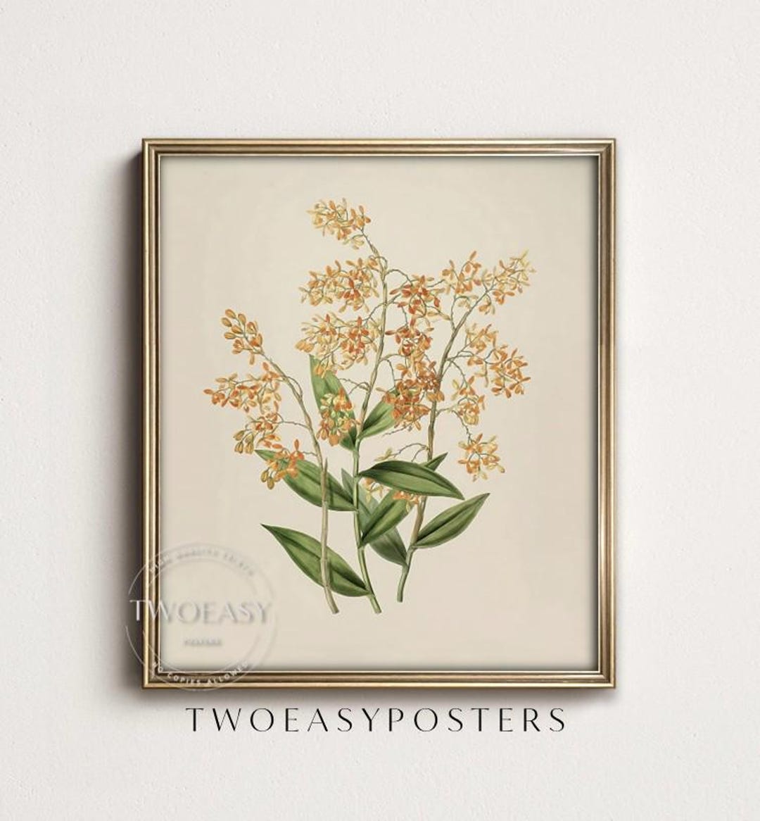 Classic Botanical Flower Illustration Print | Vintage Floral Wall Art ...