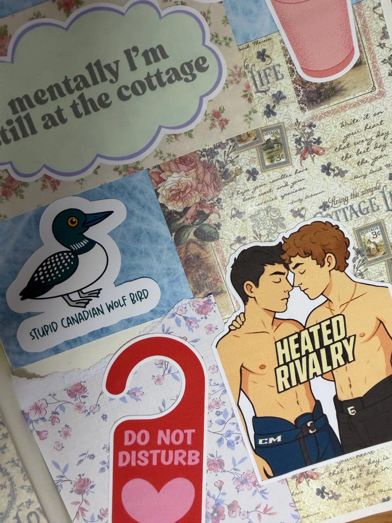 Heated Rivalry Sticker Bundle | Cottagecore Mystery Pack | Spicy ...