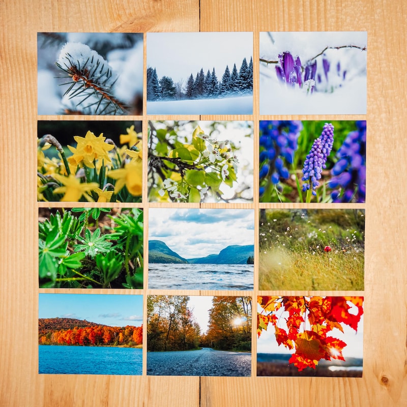 Spring Blank Note Cards - Etsy