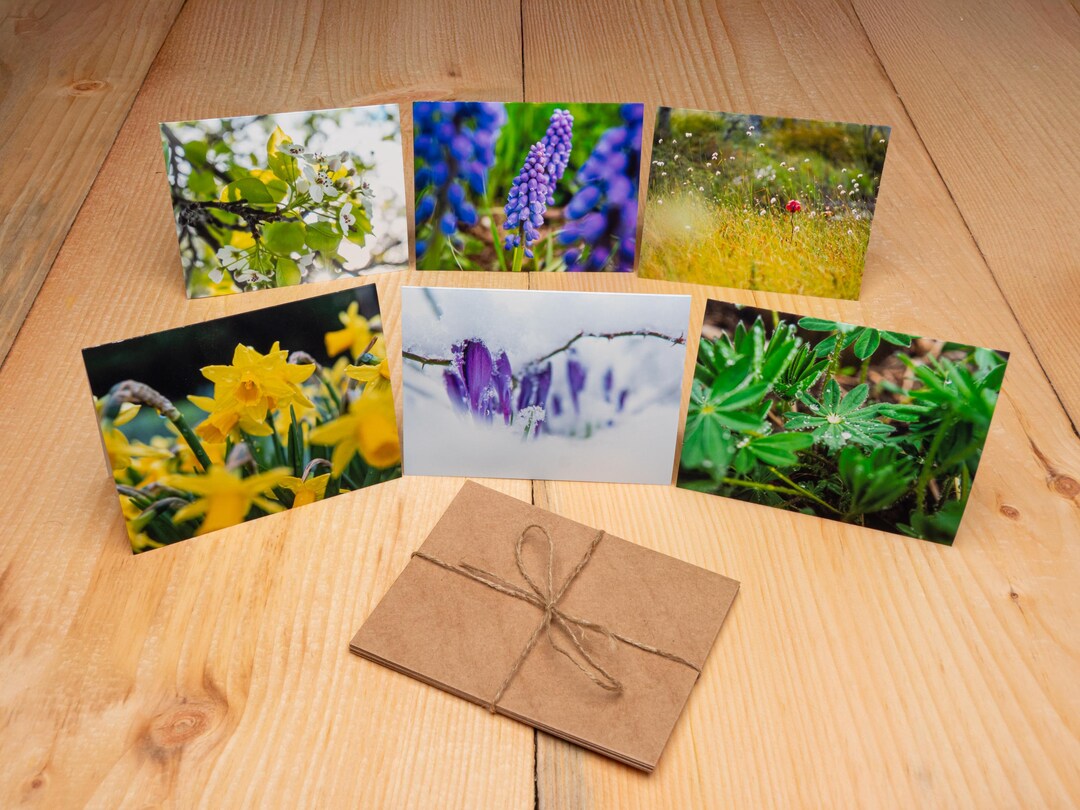 Set of 6 Handmade Vermont Flower Photography Note Cards - Blank Floral ...