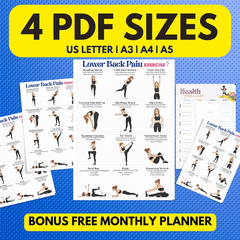 Lower Back Pain Relief Exercises Routines PDF, Home Workout Posters ...