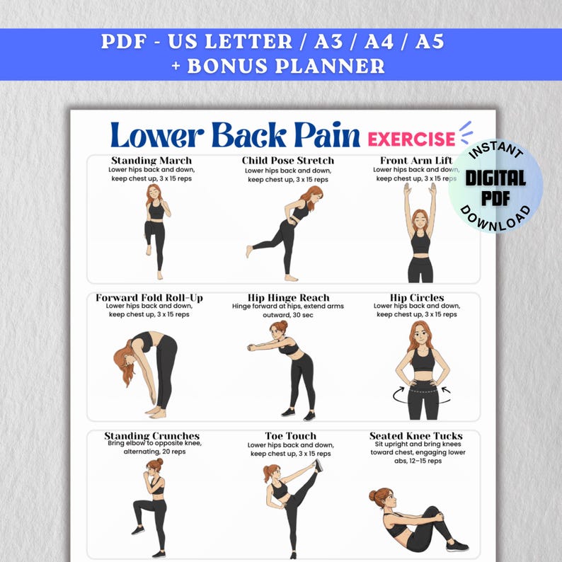 Lower Back Pain Relief Exercises Routines PDF, Home Workout Posters ...