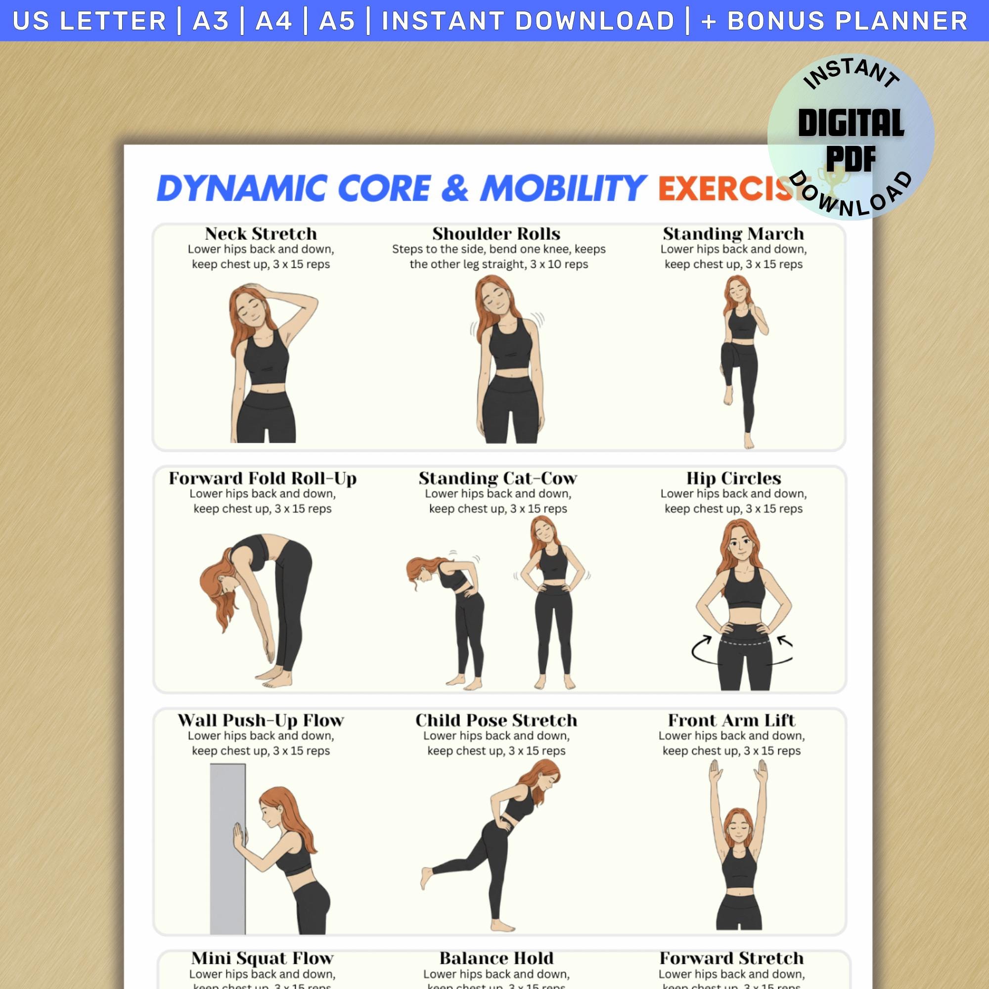 Dynamic Core & Mobility Exercises Chart, Printable Home Fitness Poster ...
