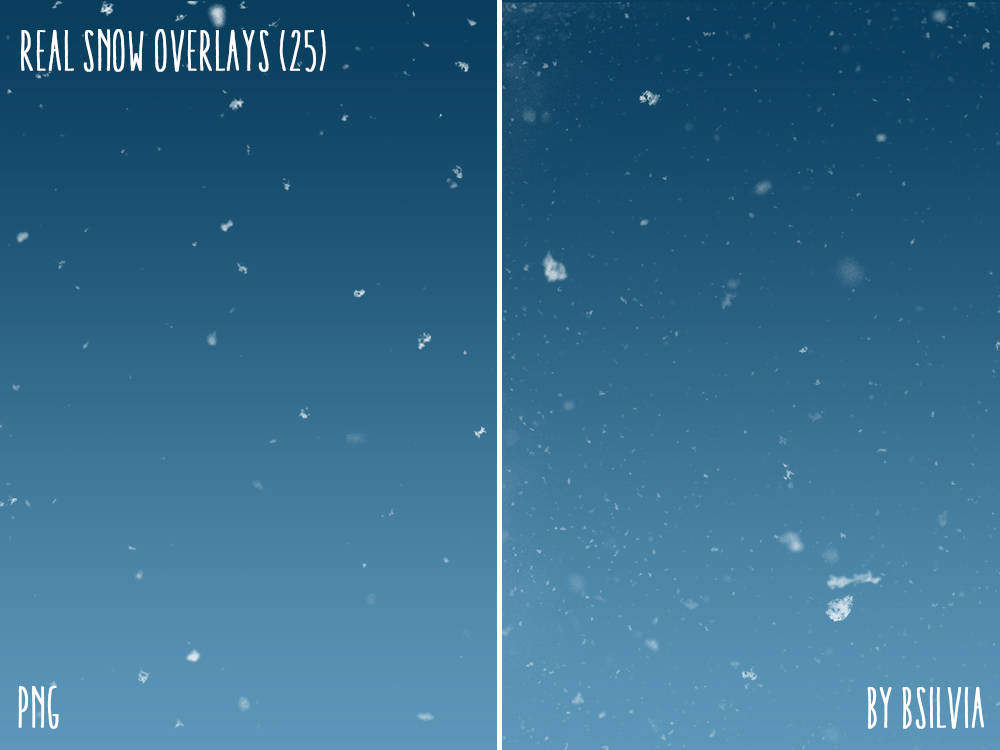 Real Snow Overlays Winter Overlays 25 Snow Overlays | Etsy