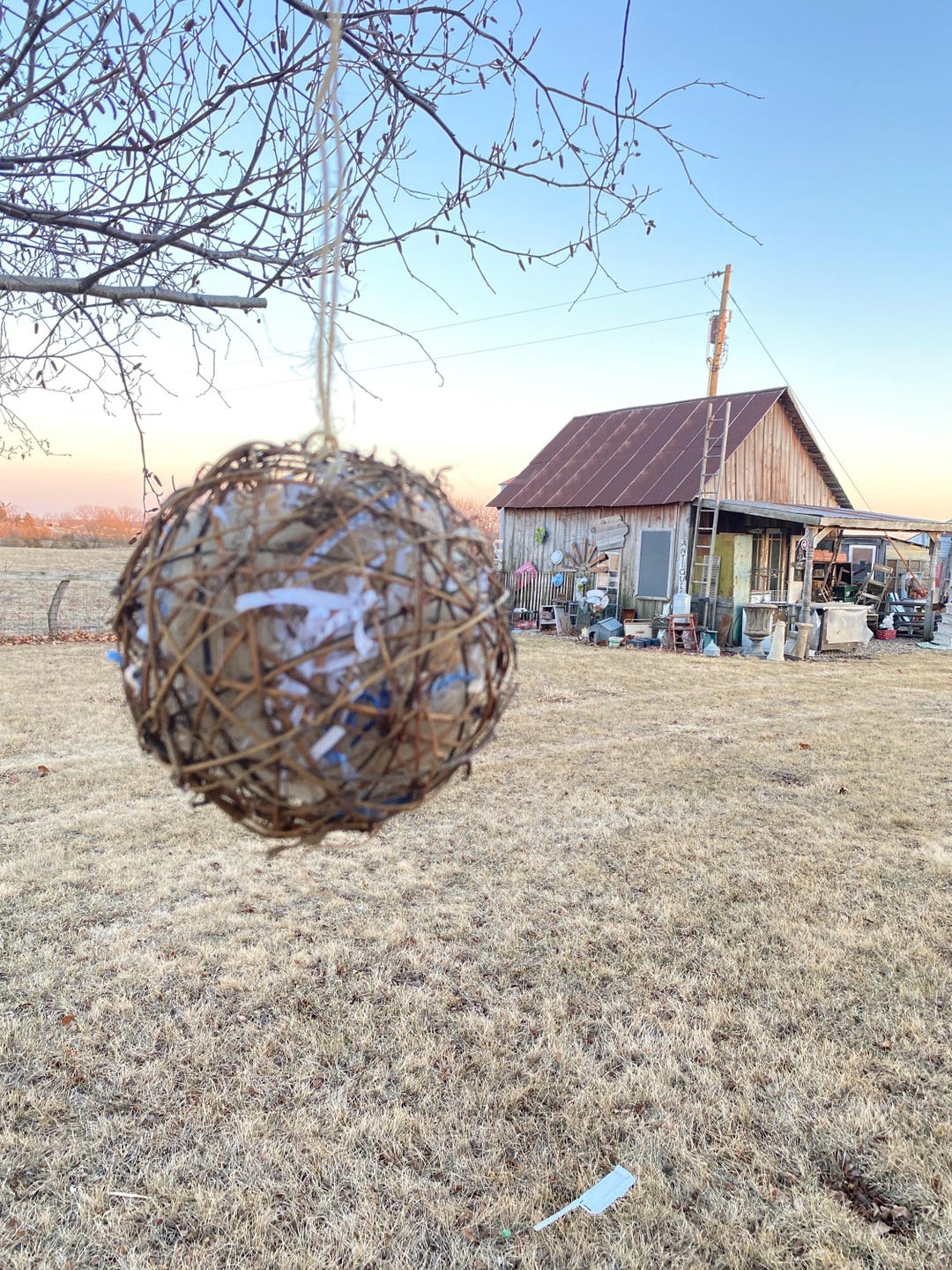 6” Bird Nesting Ball Ready to Hang. Refillable - Etsy