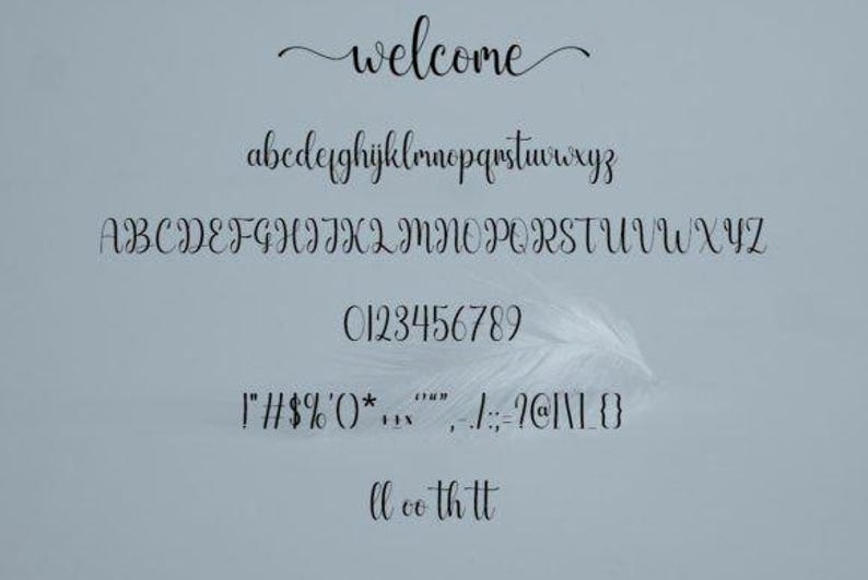 Wedding Calligraphy Font, Elegant Swash Script, Handwritten Cursive ...