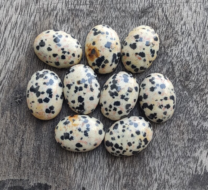 Natural Dalmatian Oval Shape Cabochon Flat Back Wholesale Calibrated ...