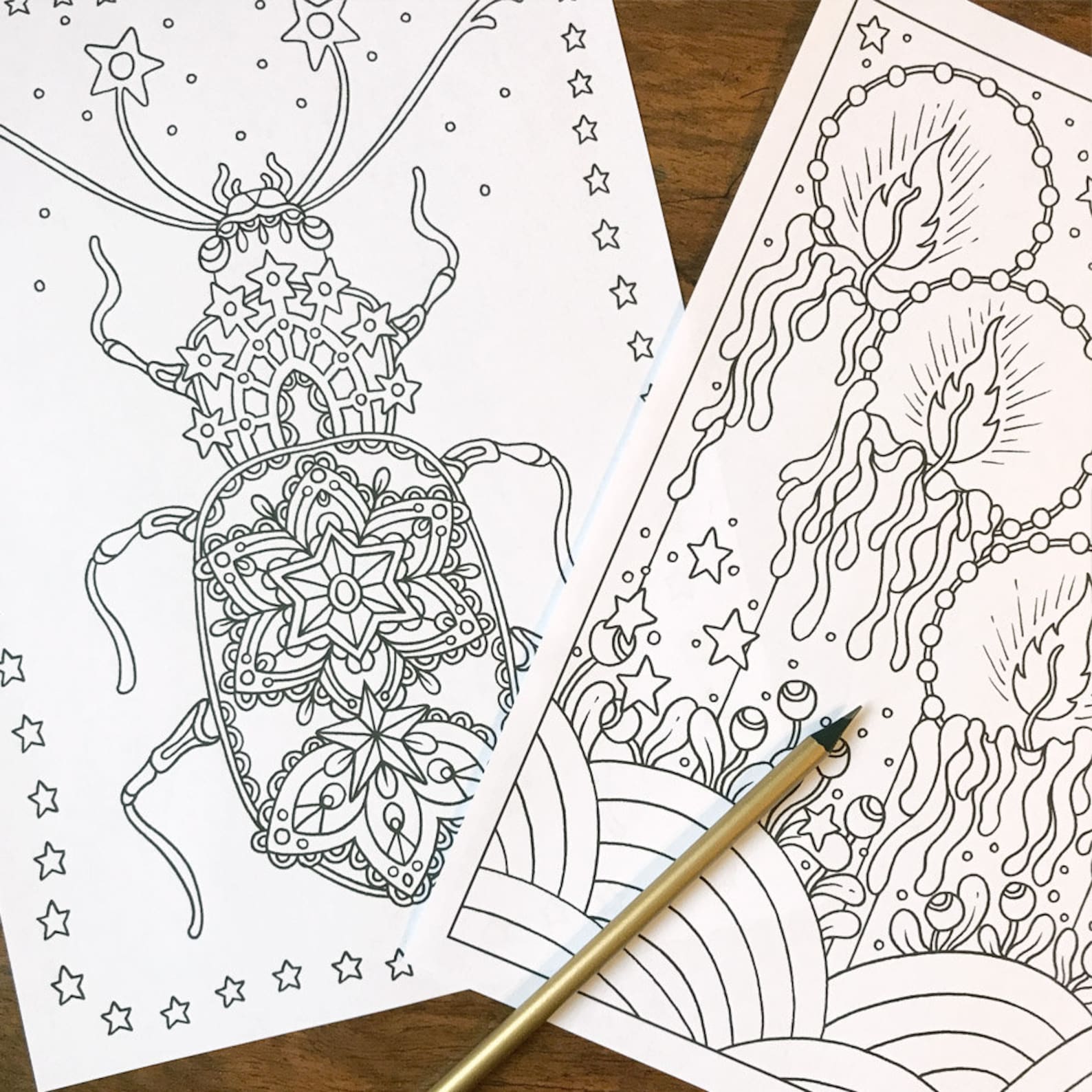 PDF Coloring Pages Winter Season 3 Set of 6 Pages - Etsy