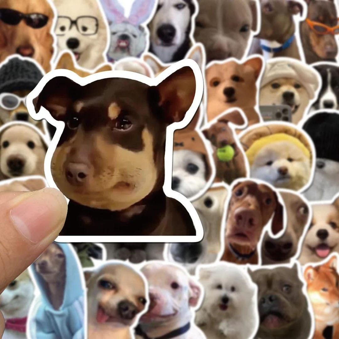 50pcs Funny Dog Face Meme Sticker Pack, Cute Animal Dogs and Cats Meme ...