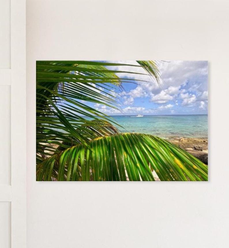 Tropical Palm Canopy Over Caribbean Waters – Cozumel - Etsy UK