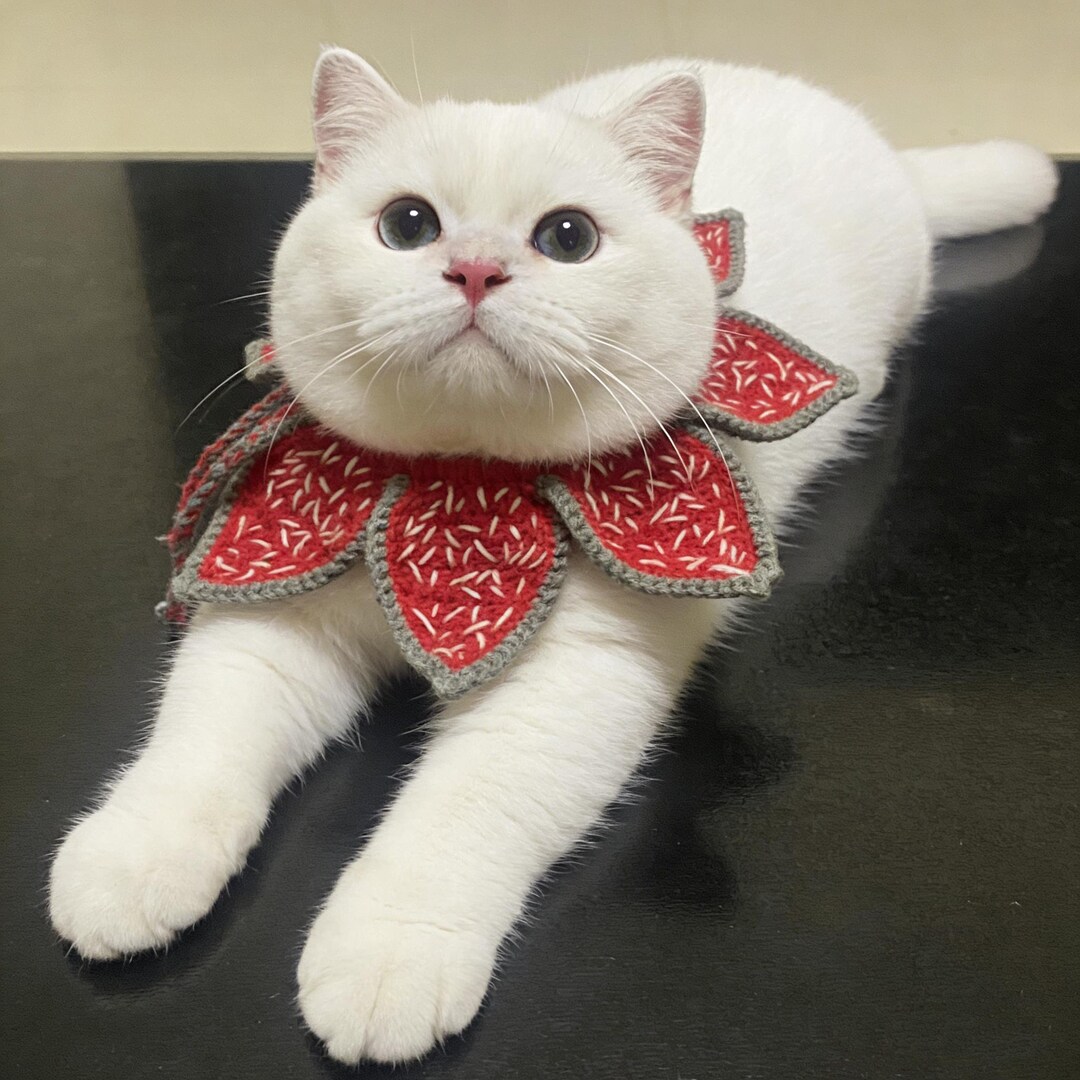 Crochet Demon Flower Pet Collar Pattern – Cat & Small Dog Costume – PDF ...