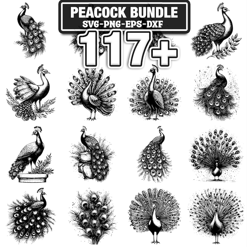 Peacock SVG Bundle | 117+ Cut Files (svg, Png, Dxf, Eps) (instant ...