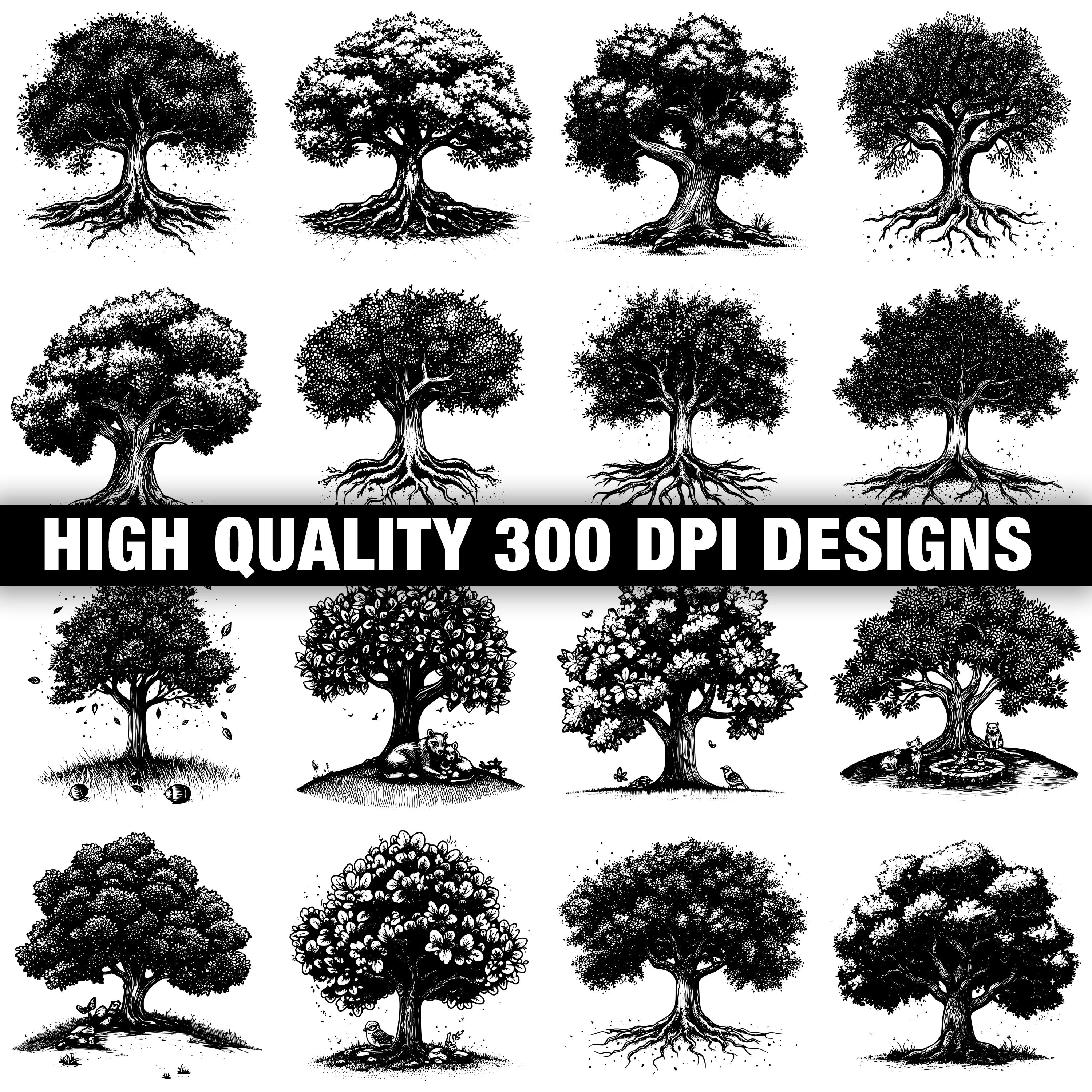 117+ Oak Tree Svg, Png, Dxf, Eps Designs Bundle | Instant Digital ...