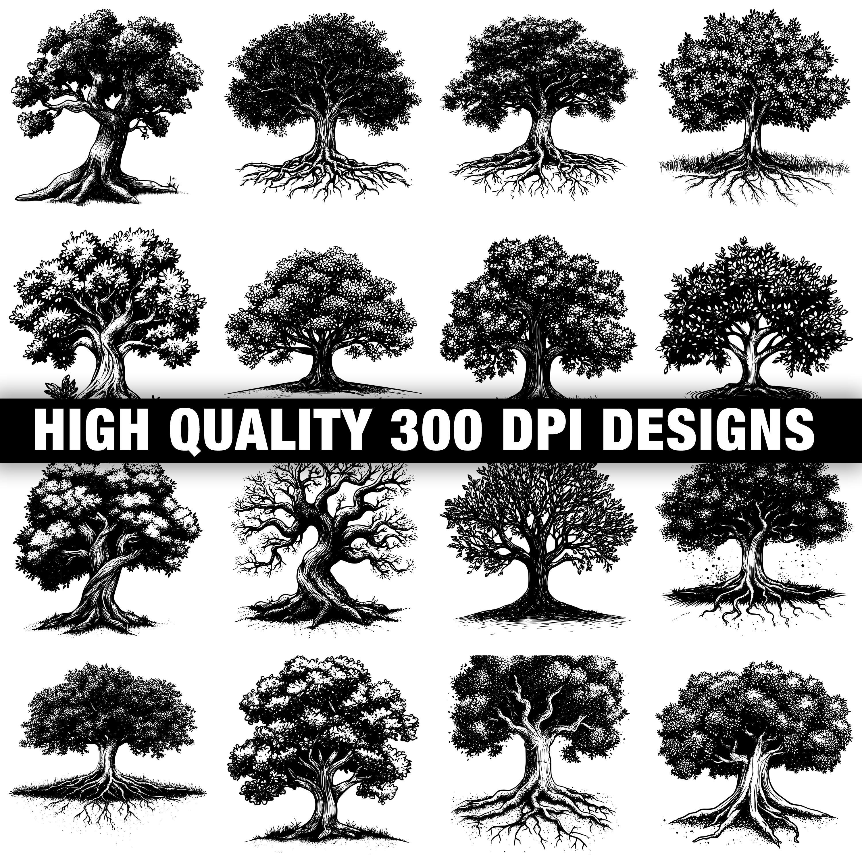 117+ Oak Tree Svg, Png, Dxf, Eps Designs Bundle | Instant Digital ...