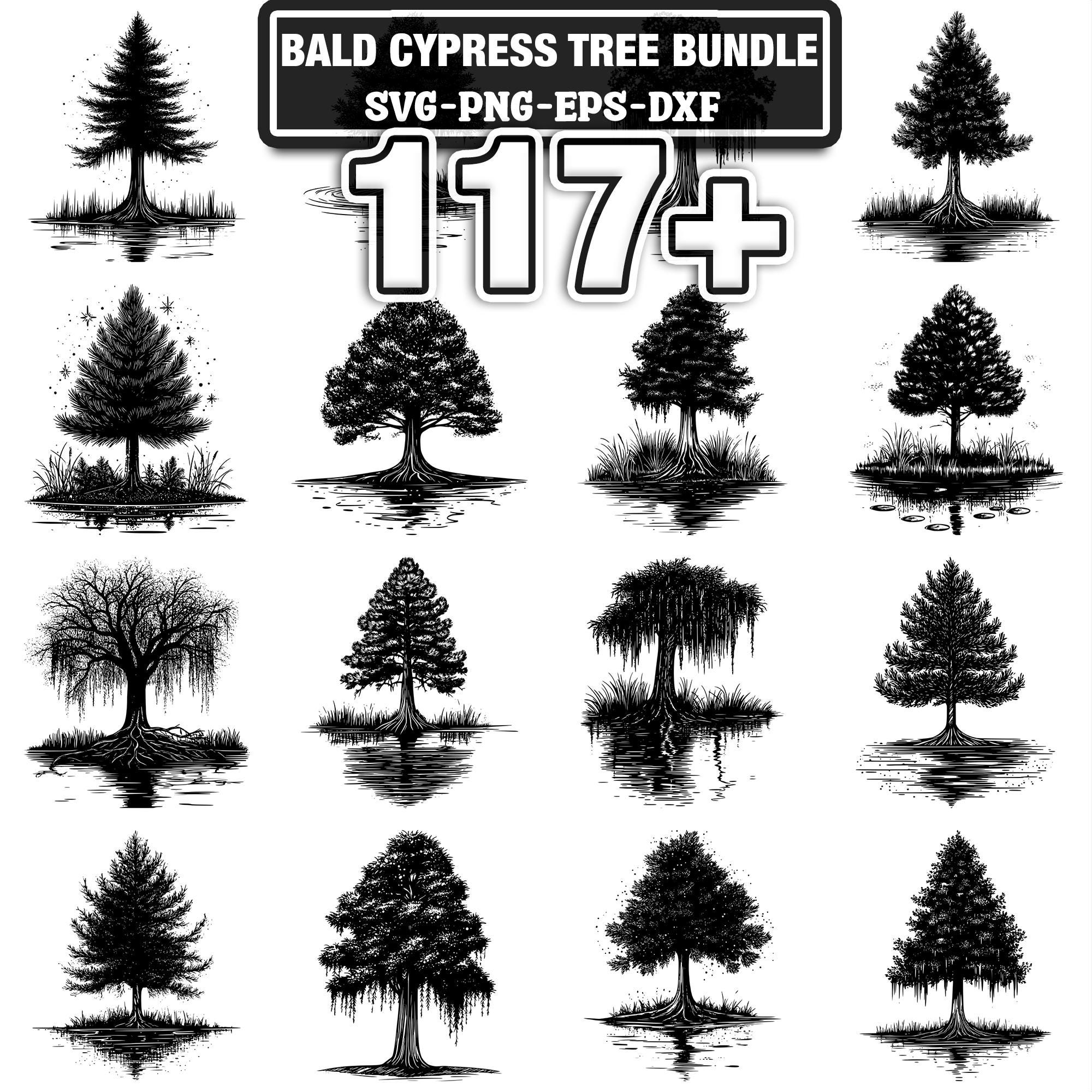 117+ Bald Cypress Tree Svg, Png, Dxf, Eps Designs Bundle | Instant ...