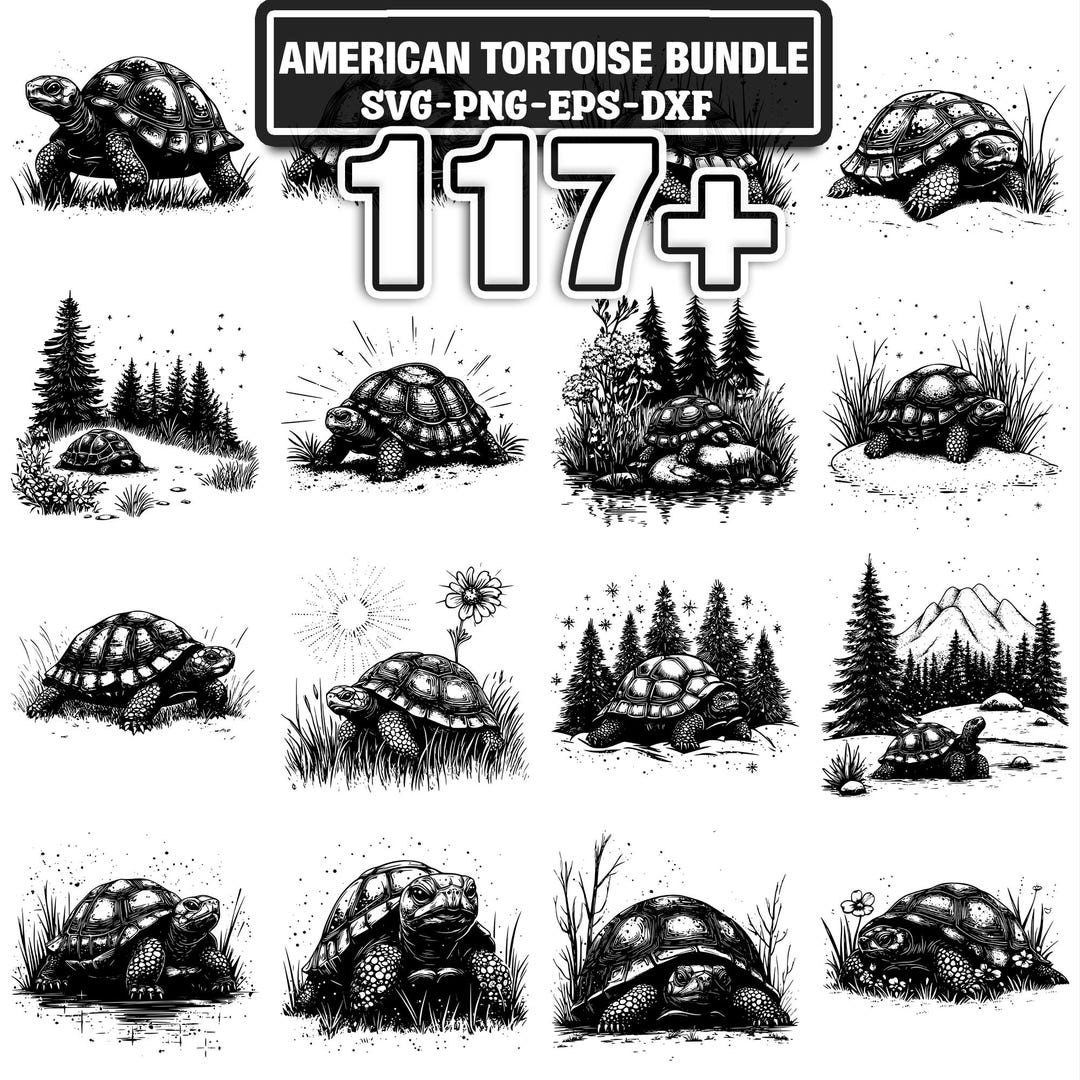 117+ American Tortoise Svg, Png, Dxf, Eps Designs Bundle | Instant ...