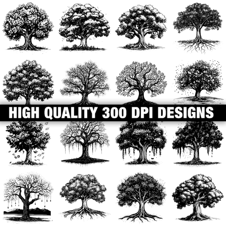 117+ Oak Tree Svg, Png, Dxf, Eps Designs Bundle | Instant Digital ...