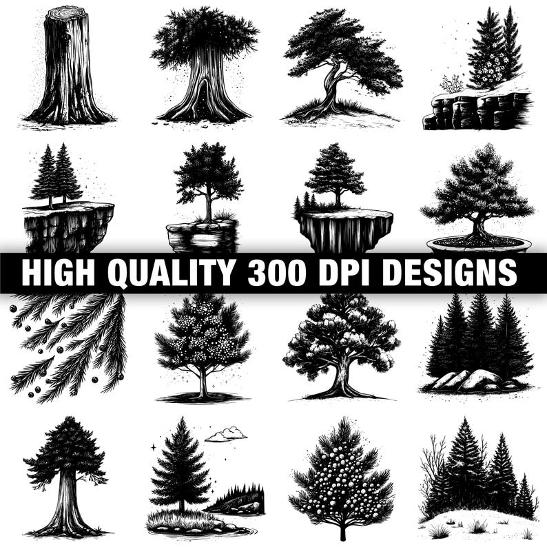 117+ Cedar Tree Svg, Png, Dxf, Eps Designs Bundle | Instant Digital ...