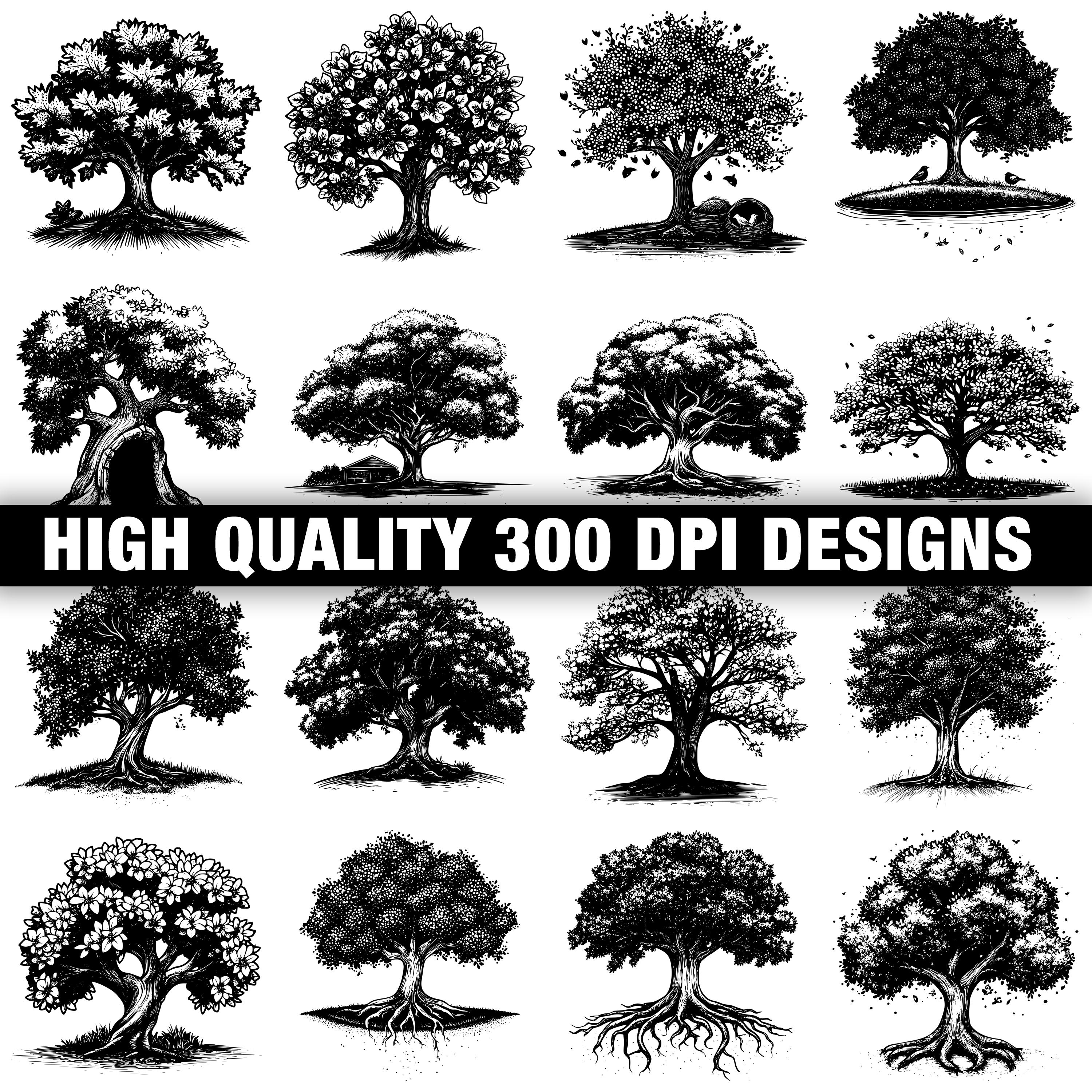 117+ Oak Tree Svg, Png, Dxf, Eps Designs Bundle | Instant Digital ...