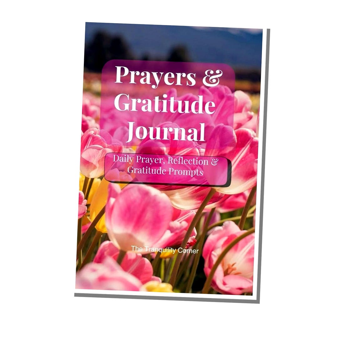 Prayer & Gratitude Journal | Daily Prayer Reflection Prompts | 6x9 ...
