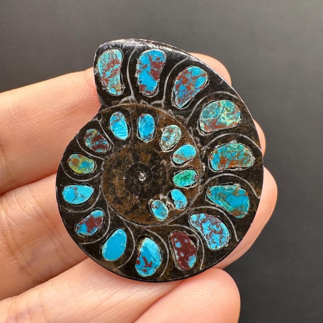 Black Ammonite With Chrysocolla Inlay - Etsy