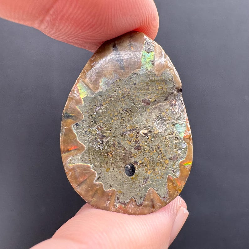 Ammonite With Ethiopian Opal Inlay - Etsy