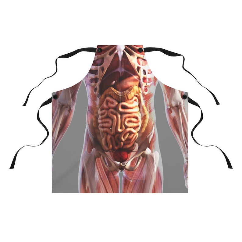 Human Body Organs Guts Apron | Etsy