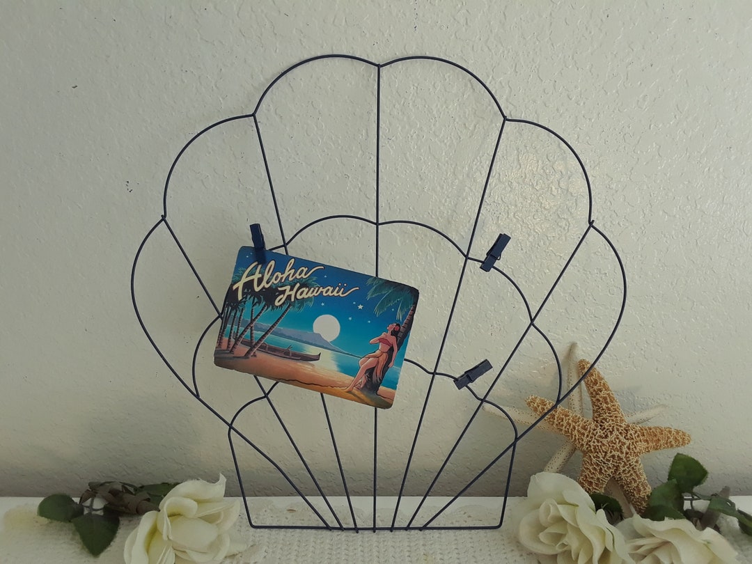 Navy Blue Clam Shell Wall Organizer Display Pictures Photos Cards Beach ...