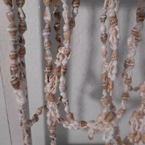 Vintage Seashell Necklace Set Five Assorted Long Natural Sea Shell ...