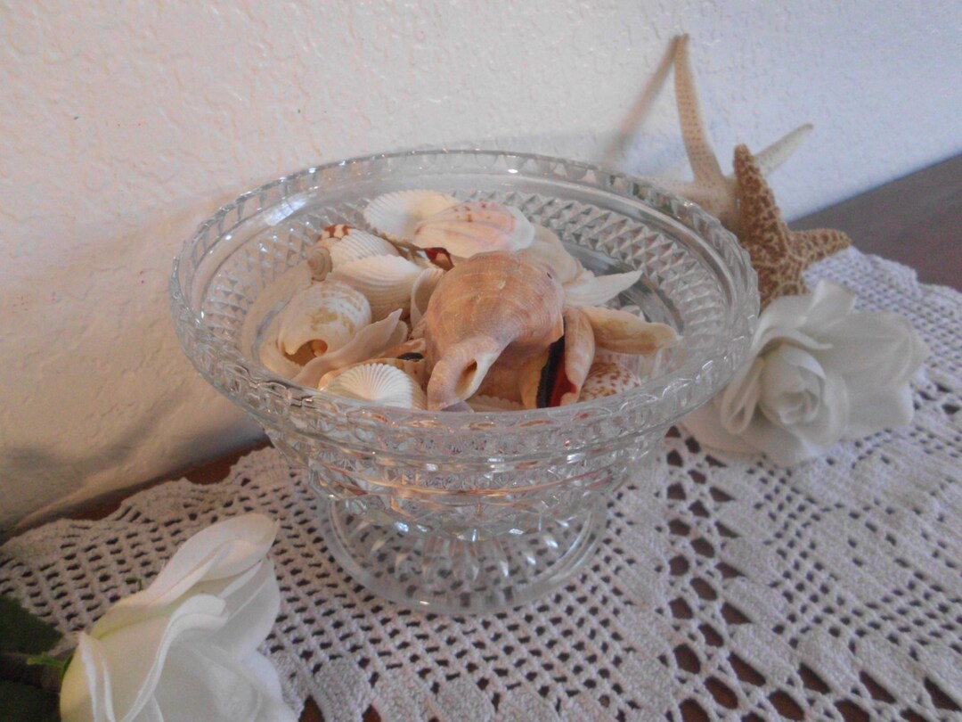 Natural Seashell Crystal Bowl Decoration Beach Cottage Coastal Seaside ...