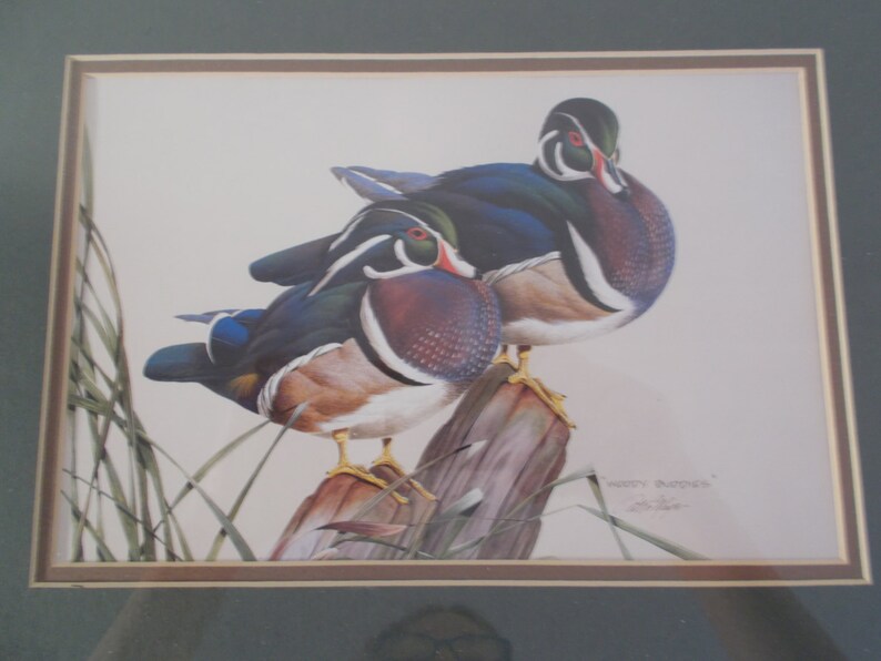 Vintage Duck Art Print Set Framed Signed Art Lamay Picture - Etsy