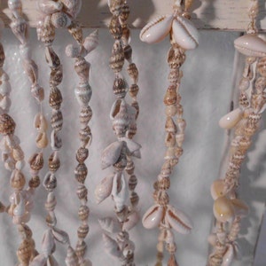 Vintage Seashell Necklace Set Five Assorted Long Natural Sea Shell ...