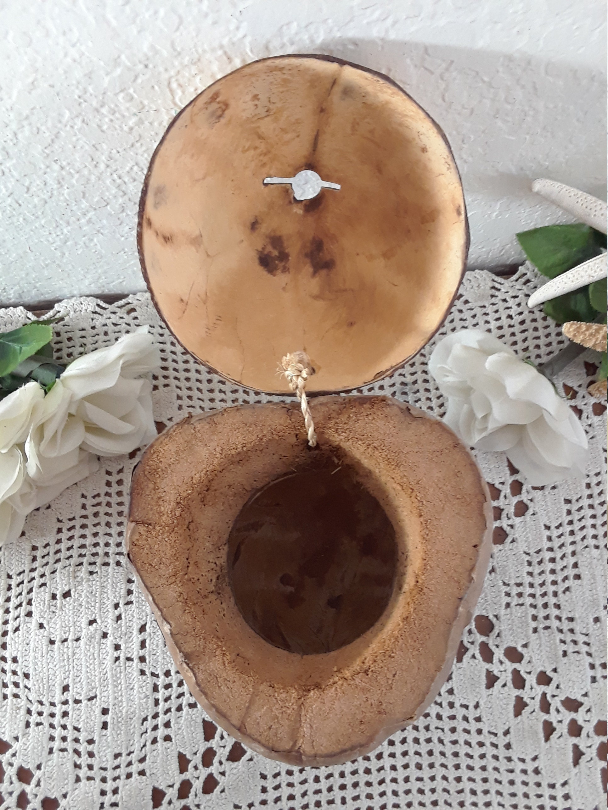 Vintage Coconut Monkey Head Tiki Bar Hawaii Luau Party | Etsy