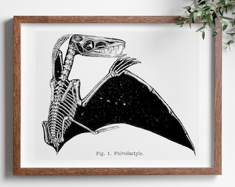 Vintage Pterodactyl Fossil Anatomy Early Paleontology 1800s Science Illustration Printable ...